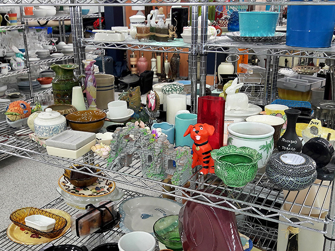 Ceramic heaven! One person's discarded kitchenware becomes another's vintage collection. That tiger mug is practically begging to come home.