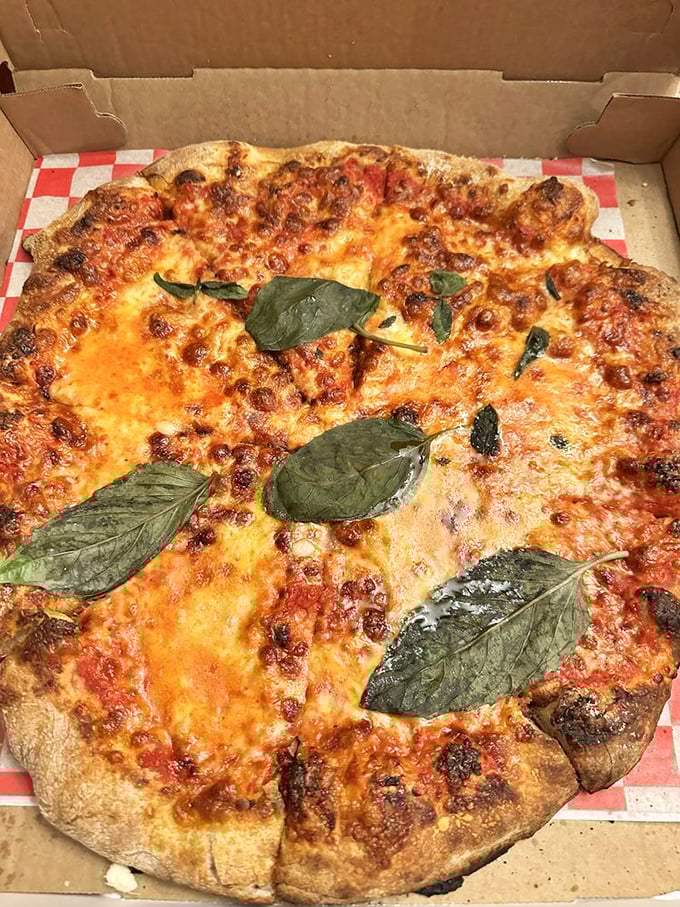 The classic cheese pizza proves that perfection needs no embellishment&mdash;just impeccable crust, tangy sauce, and cheese that stretches for days.