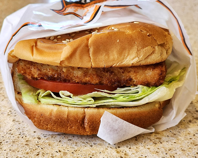 A chicken gyro that would make Zeus himself nod in approval. Fresh lettuce, juicy chicken, and that pillowy bun.