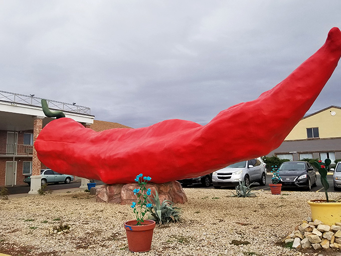 Desert landscaping frames the massive chile, where even the potted plants seem to be paying homage to their oversized neighbor.