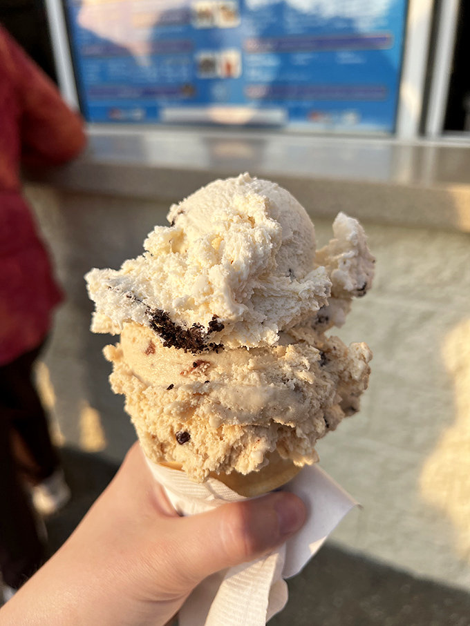 Cookies and cream perfection that makes you wonder why anyone bothers with regular dessert.