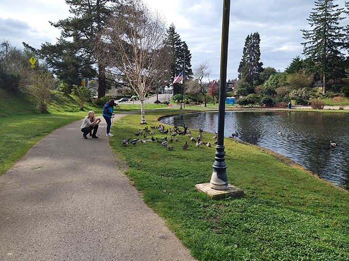 Feed the ducks, find your zen. This peaceful pond at Choshi Garden offers the kind of simple joy that reminds you to slow down occasionally.