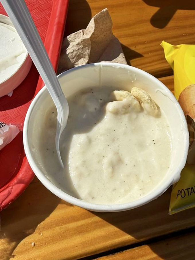 New England in a bowl. This clam chowder doesn't need fancy credentials; it's got generations of maritime know-how in every creamy, comforting spoonful.