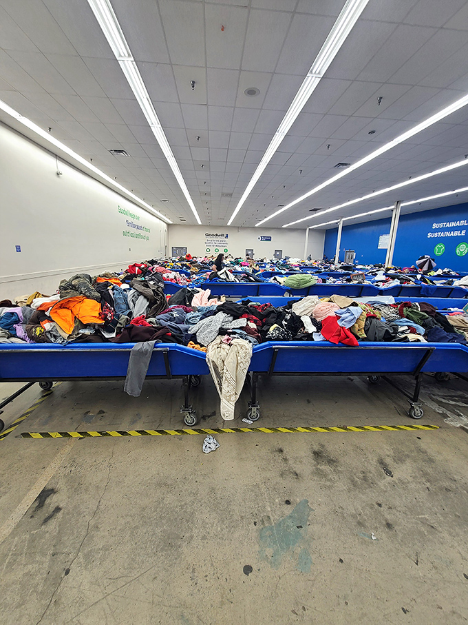 More clothing adventures await! Each blue bin contains potential style upgrades at prices that make designer stores weep.