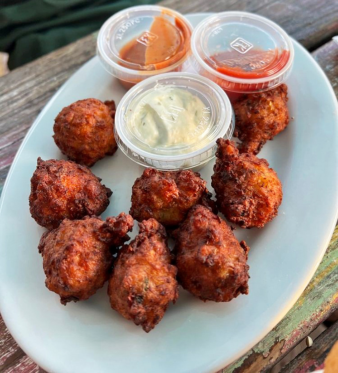 Golden-brown conch fritters that crunch then yield, like little seafood doughnuts that somehow escaped the dessert menu.