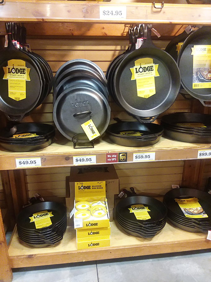 Cast iron heaven! Lodge cookware that'll outlive your kitchen renovations and possibly your mortgage. Southern cooking's secret weapon.