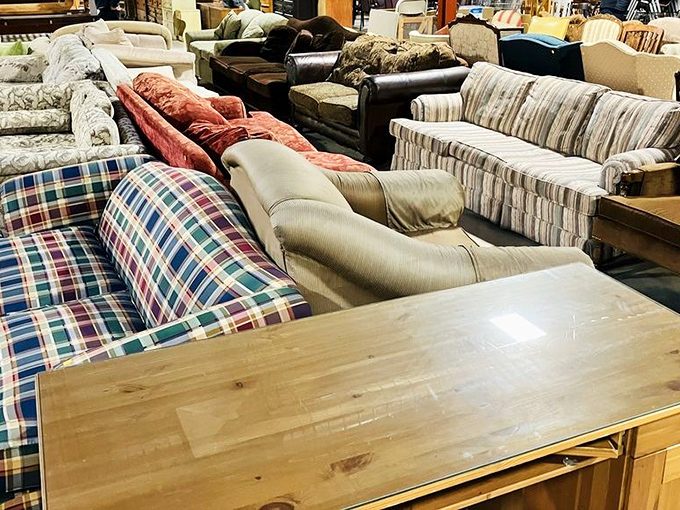 The couch collection – where your perfect napping spot awaits, alongside enough seating options to host the entire neighborhood.