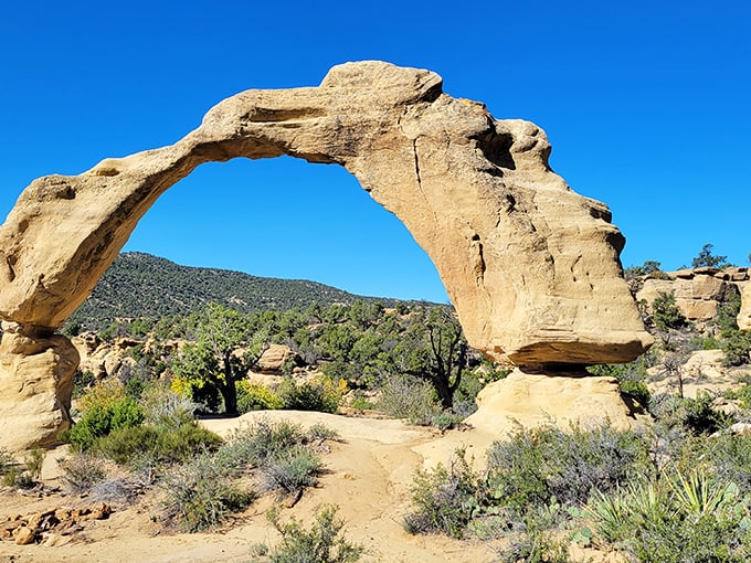 Mother Nature's architectural masterpiece, Cox Canyon Arch frames the landscape like a portal to another dimension, no admission fee required for this breathtaking desert gallery.