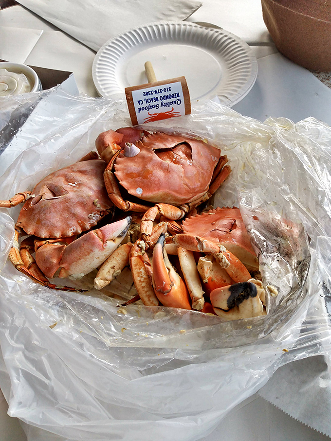 Fresh Dungeness crabs ready for their close-up, proving that good things come to those who crack.