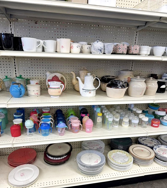 Kitchen nostalgia by the shelf&mdash;every mug and teapot has served someone's morning ritual before waiting here for its next chapter.