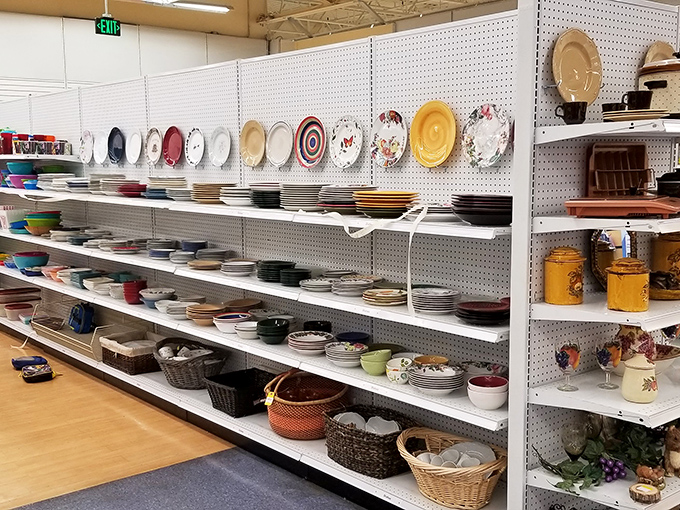 Plates with personality line up like contestants in a beauty pageant of domestic artifacts from every decade.