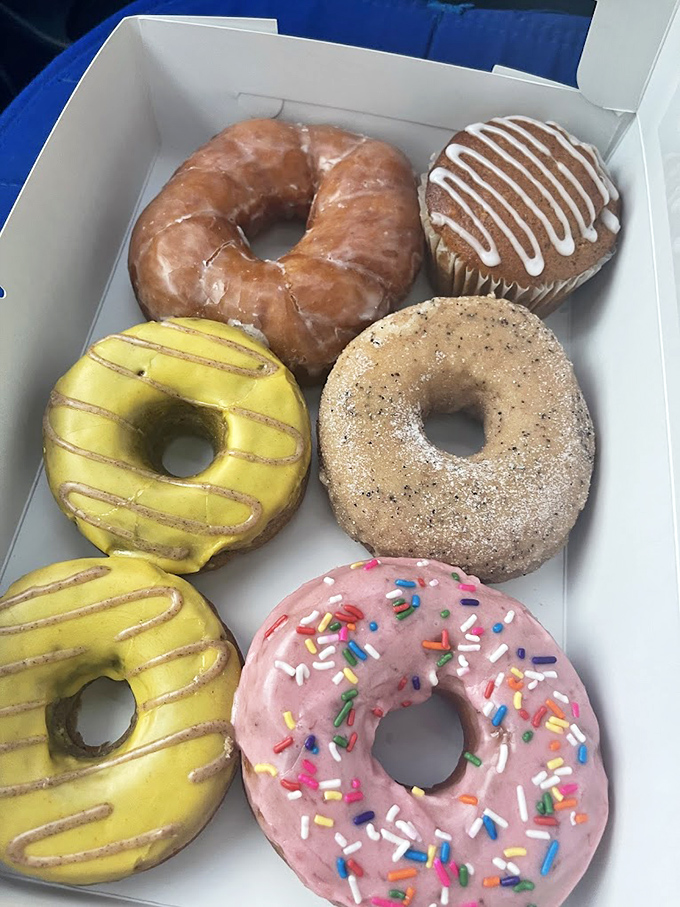 Donut decisions are the best kind of morning crisis. The pink sprinkled one is practically winking at you, daring you to resist.