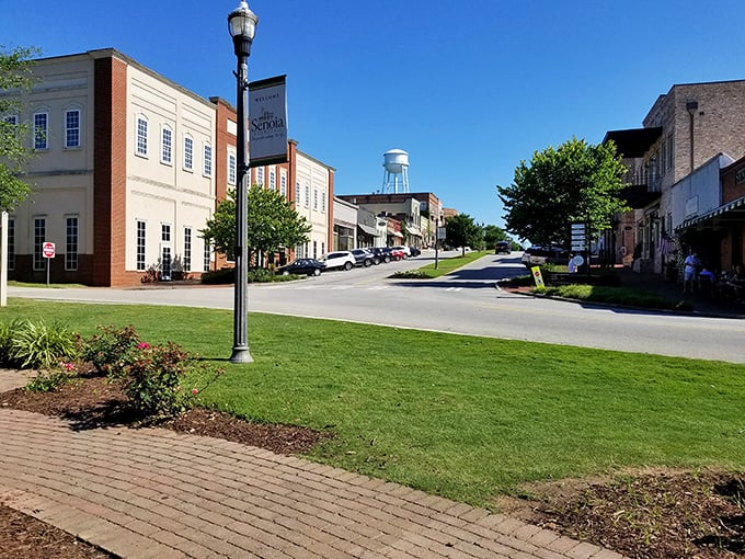 The gentle curve of Senoia's downtown invites exploration, with each storefront promising treasures more authentic than anything you'd find at a mall.