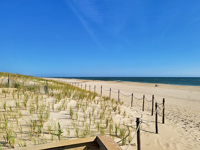Protected dunes stand guard like nature's own security system, keeping this coastal treasure safe and sound.