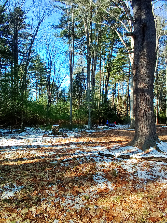 Winter's first dusting transforms the campground into nature's version of a powdered donut &ndash; beautiful, serene, and impossible to resist.