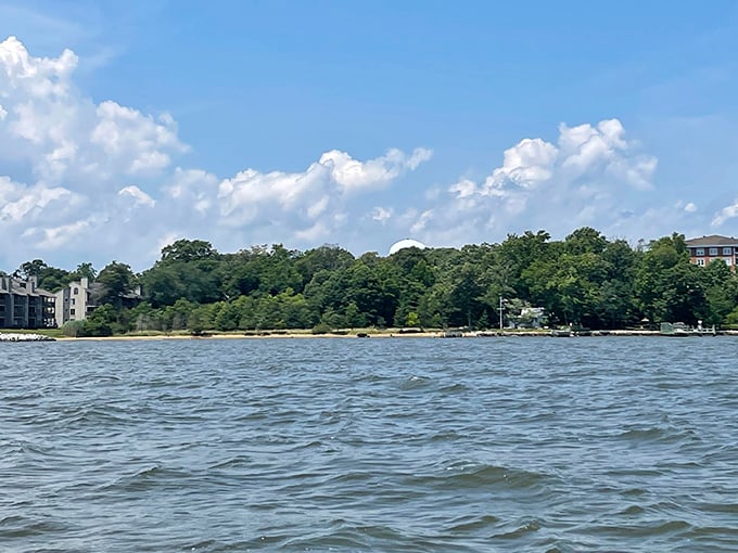 Nature's autumn palette reflects perfectly in still waters, creating a tranquil escape just minutes from downtown's colonial hustle.