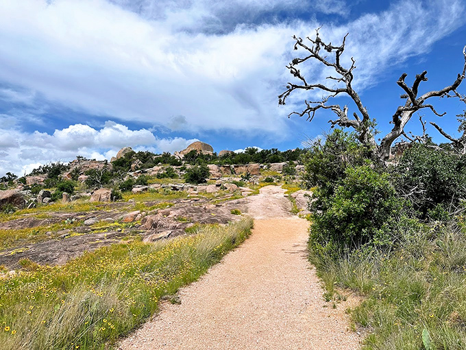 Enchanted Rock beckons adventurers&mdash;that pink granite dome has been making knees wobble since prehistoric times.
