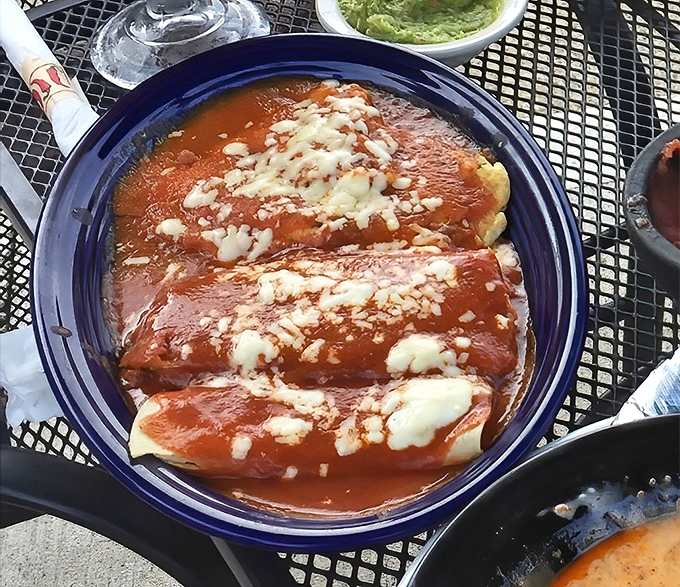 Enchiladas swimming in a sea of rich red sauce with melted cheese islands. The kind of dish that makes you cancel afternoon plans.