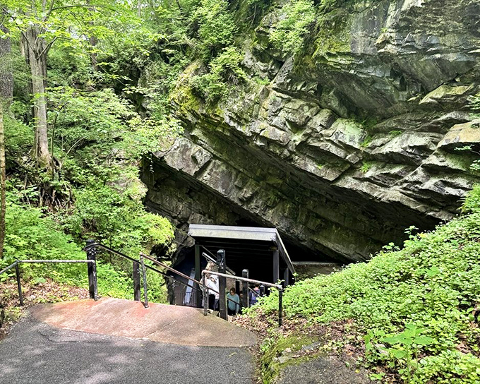 The path to underground wonders begins here. Like the entrance to Narnia, but instead of a wardrobe, you'll descend into Pennsylvania's limestone underworld.