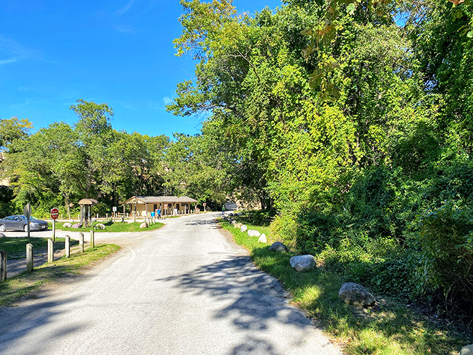 The road less traveled leads to Mount Baldy's entrance. Nature's welcome mat unfurls beneath towering trees guarding Indiana's coastal gem.