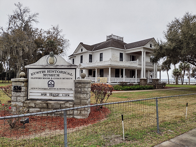 The Eustis Historical Museum's white clapboard elegance houses the stories of yesterday, preserved with the kind of care only small towns seem to manage these days. 