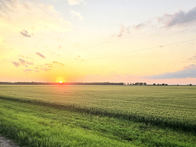 North Dakota sunsets over golden wheat fields make even non-photographers reach for their cameras. The state's daily farewell performance never disappoints.