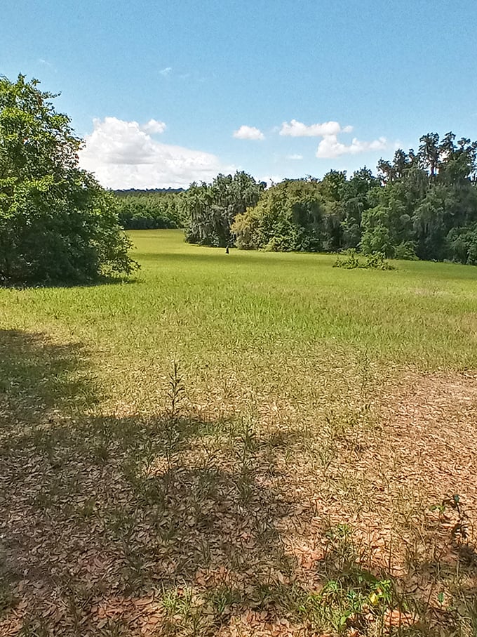 Rolling meadows that stretch toward the horizon, offering a refreshing break from Florida's typical palm-and-concrete landscape.
