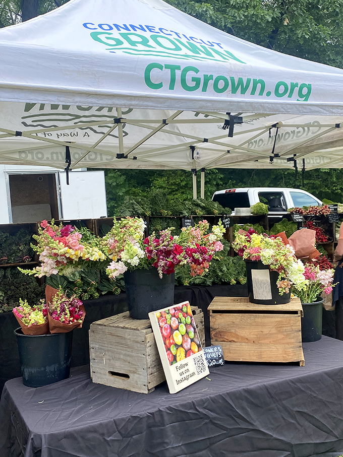 Connecticut Grown isn't just a label—it's these explosively colorful bouquets that make supermarket flowers look like they need therapy.