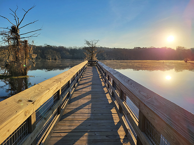 Early morning on the boardwalk looks like someone painted heaven and forgot to add the crowds that usually ruin everything.