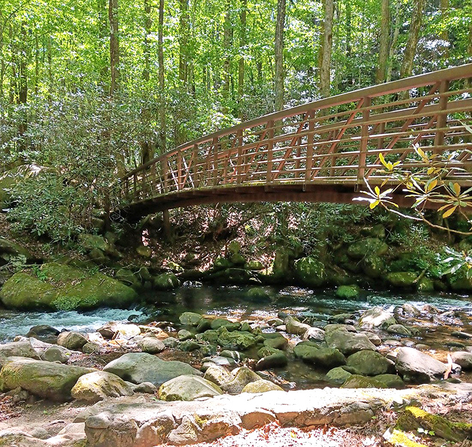 These elegant footbridges connect trails throughout the park, proving that sometimes the path less taken requires excellent carpentry skills.