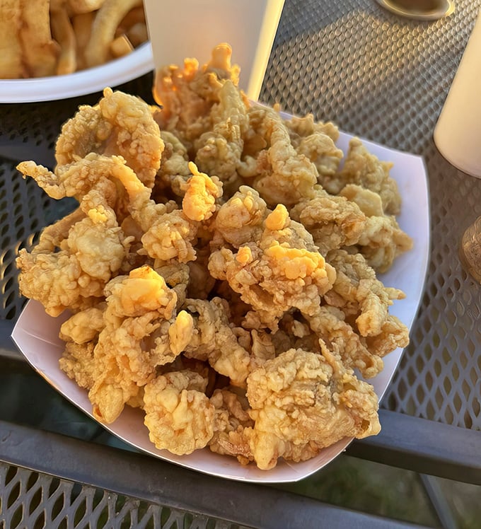 Golden-fried clam perfection that makes you wonder why anyone bothers with fancy food. These crunchy morsels are what New England dreams are made of. 