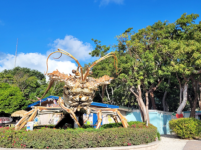 Face-to-face with the Keys' most imposing resident. Those antennae could probably pick up radio signals from Cuba on a clear day.