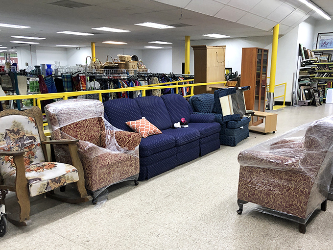 Furniture with character awaits its second act. That blue sofa could be the conversation piece your living room has been missing.