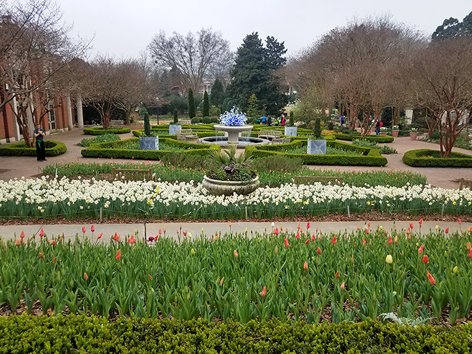 Spring's floral symphony in full crescendo &ndash; where tulips and daffodils perform their annual standing-ovation-worthy show.