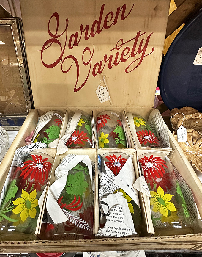 "Garden Variety" indeed! These vintage glasses bloom with floral patterns that would make your iced tea taste like it was served in 1962.