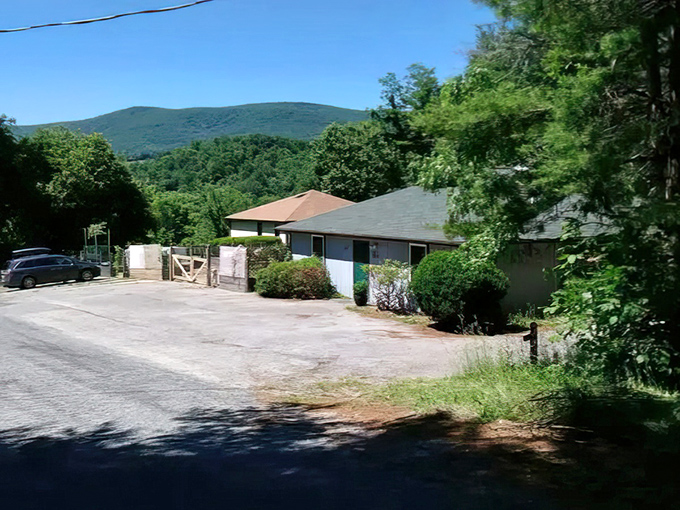 Mountain living at its finest. This cozy property nestled against the Blue Ridge backdrop reminds us why Virginia's highlands have been captivating hearts for centuries.