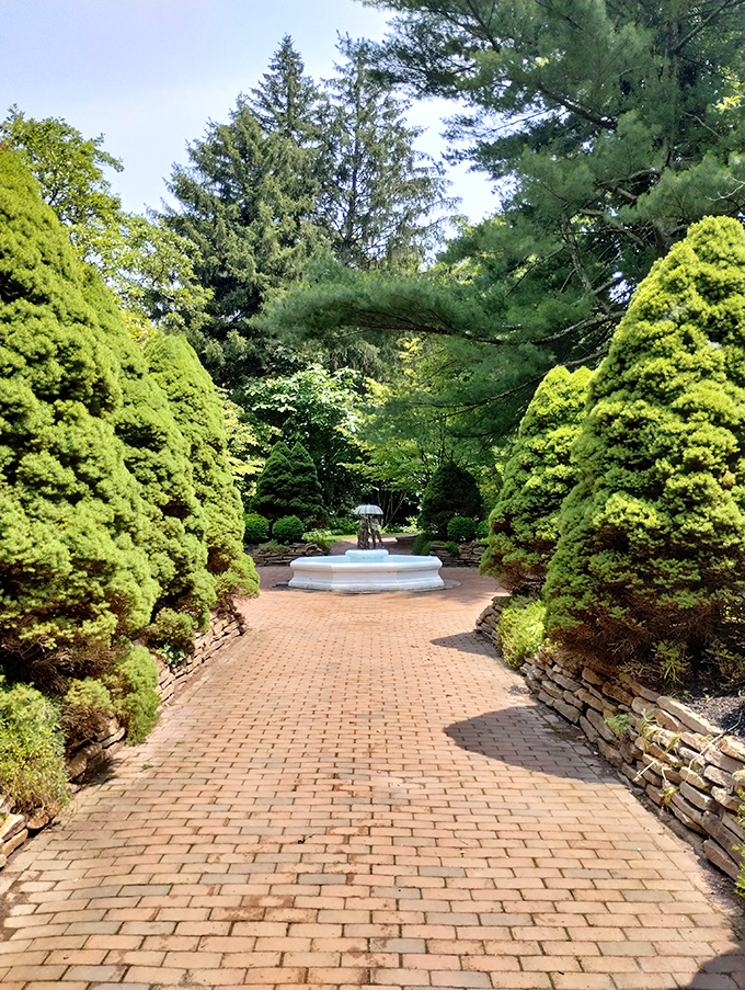 Evergreens frame this brick pathway like nature's honor guard, leading visitors to a fountain that's been photobombing family pictures for generations.