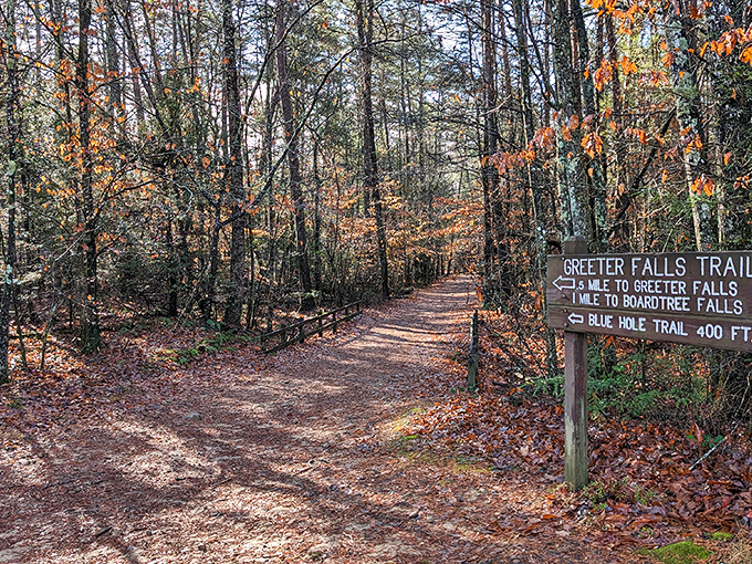 The Greeter Falls Trail sign stands like a choose-your-own-adventure book cover, promising waterfalls instead of dragons.