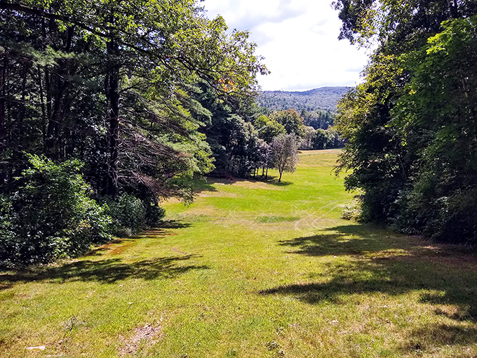 Grenville Park's open meadows and tree-lined paths offer a breath of fresh air just minutes from downtown. Nature's therapy session without the therapist's bill!