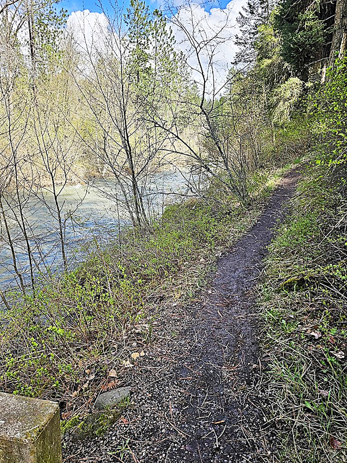 The path less Instagrammed – a creekside trail where cell service fades but life's reception improves dramatically.