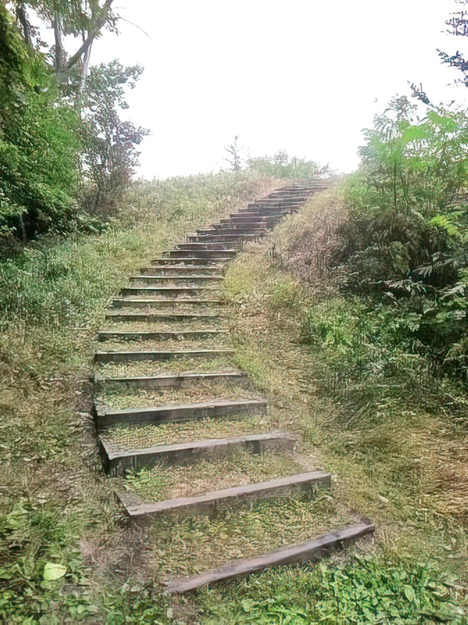 These wooden steps invite exploration, promising adventure with each weathered plank. Stairway to heaven, Minnesota-style.