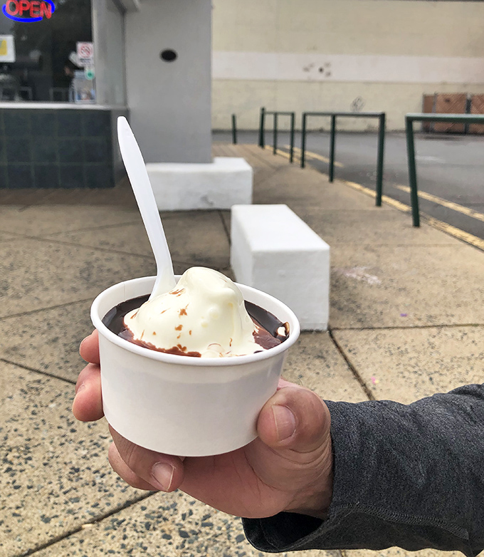 Hot fudge meets cold custard in a temperature tango that makes physics fun. Einstein never explained why this combination feels like edible poetry.