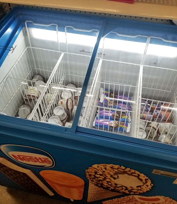 The frozen treats section offers sweet relief from summer heat. These ice cream sandwiches won't win gourmet awards, but they'll win your kids' hearts.