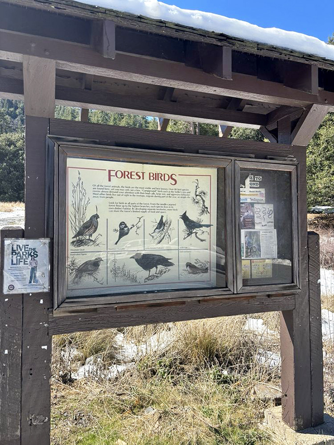 Even the wildlife signage here has personality. Learn about your feathered neighbors before spotting them in their natural habitat&mdash;no binoculars required.