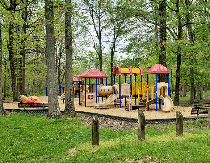 Iron Hill Park's playground brings out the kid in everyone, even if you're just watching.