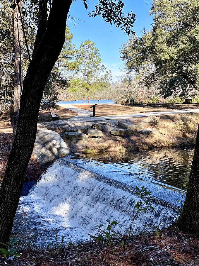 Mother Nature's waterfall spa! The soothing cascade creates nature's white noise machine—better than any sleep app you've downloaded.