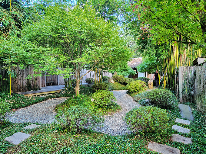 The Japanese Garden achieves more serenity in a few square feet than most of us manage in a lifetime. Stone pathways invite mindful wandering through this masterclass in zen simplicity.