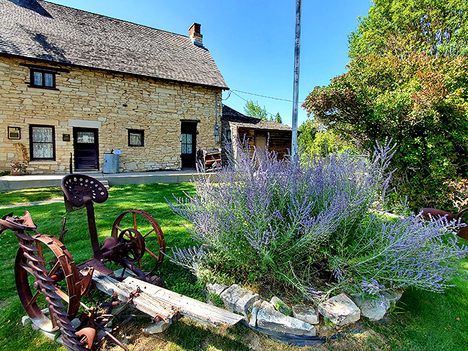 The John Patten House Museum, where pioneer history comes alive amid lavender blooms &ndash; history never looked (or smelled) so inviting.