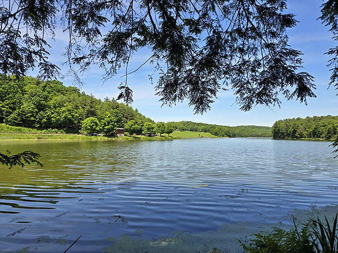 Summer's perfect canvas&mdash;emerald shorelines framing sapphire waters that somehow look even better in person than in photographs.