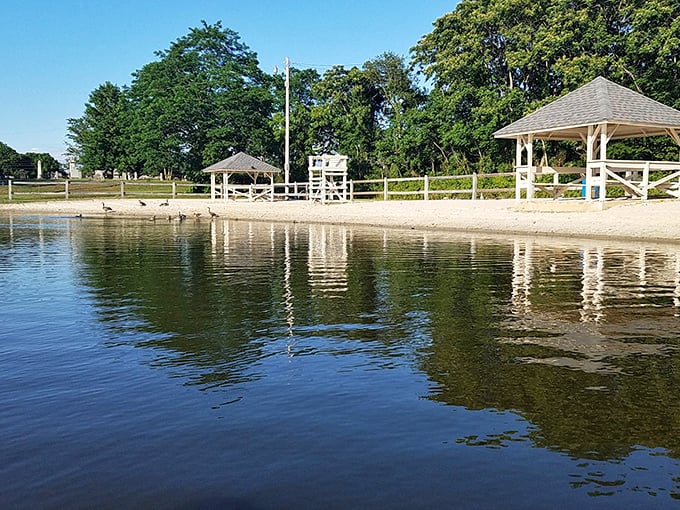 Lake Como's tranquil waters and charming gazebos create the perfect backdrop for contemplation, conversation, or simply watching ducks perfect their synchronized swimming.